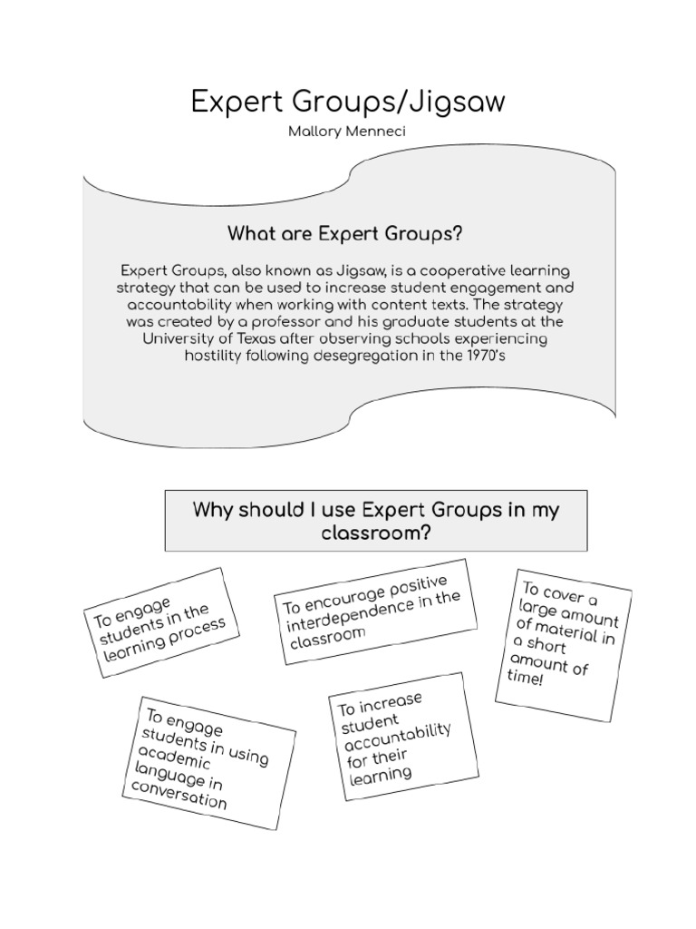 Expert Groups | PDF