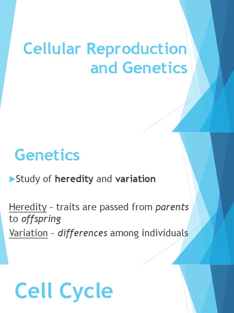 Cellular Reproduction and Genetics Guide | PDF | Meiosis | Mitosis