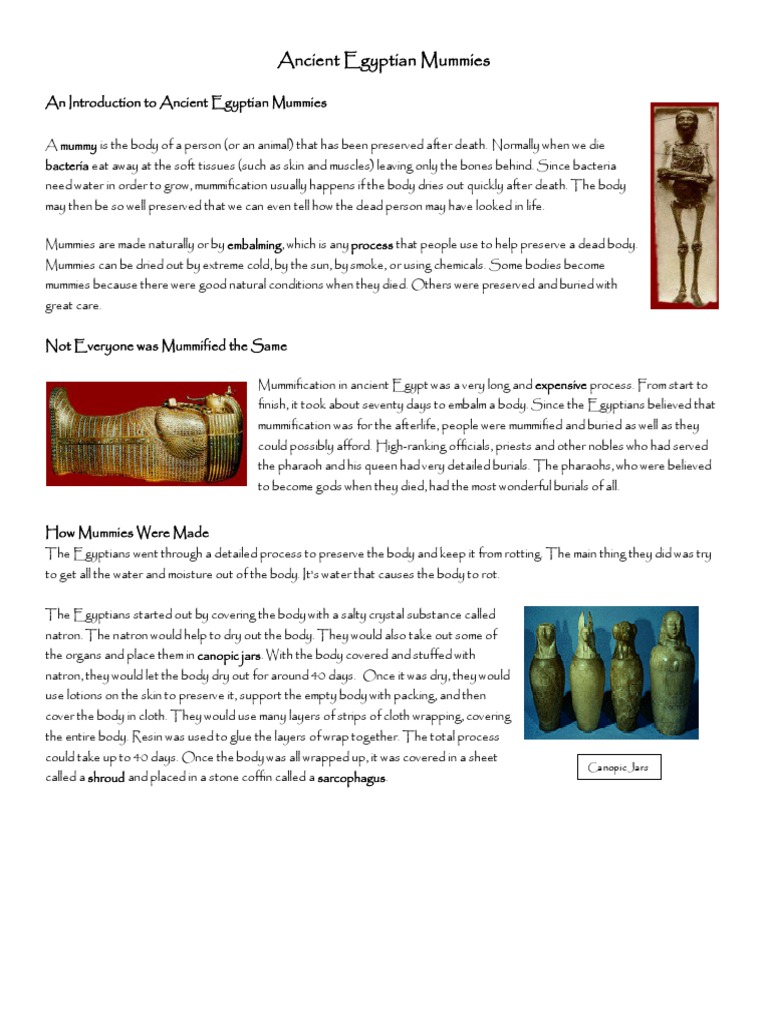 The Mummification Process | PDF | Mummy | Ancient Egyptian Religion