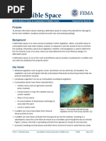 Ready Set Go | PDF | Wildfire | Roof