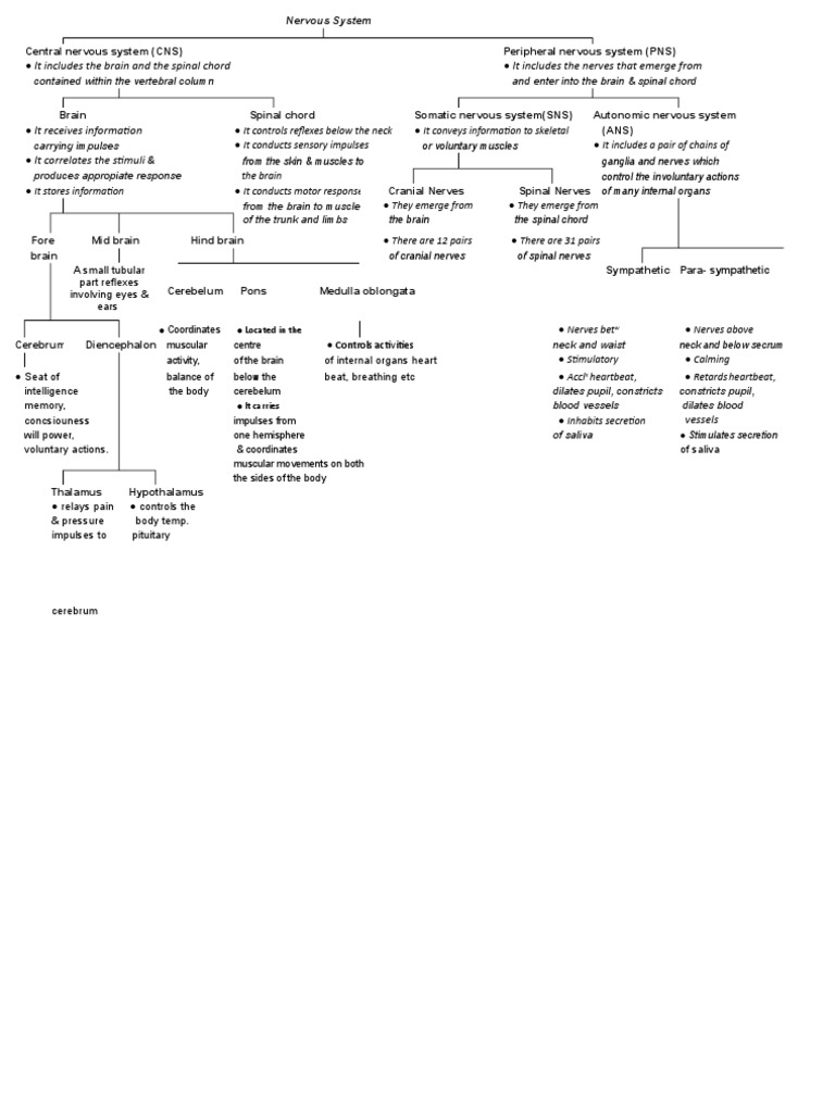Flow Chart For Nervous System (Class 10 ICSE) | PDF | Central Nervous ...