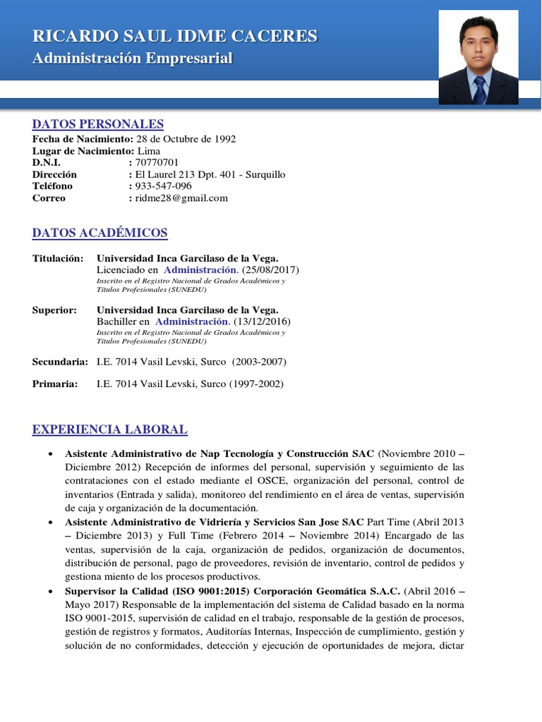 Curriculum Vitae Ricardo | PDF | Planificación de recursos empresariales | Organización ...