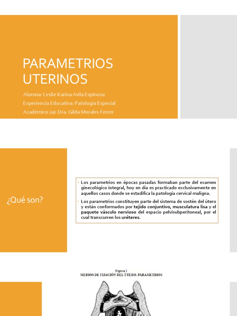 Parametrios Uterinos | PDF | Vagina | Útero