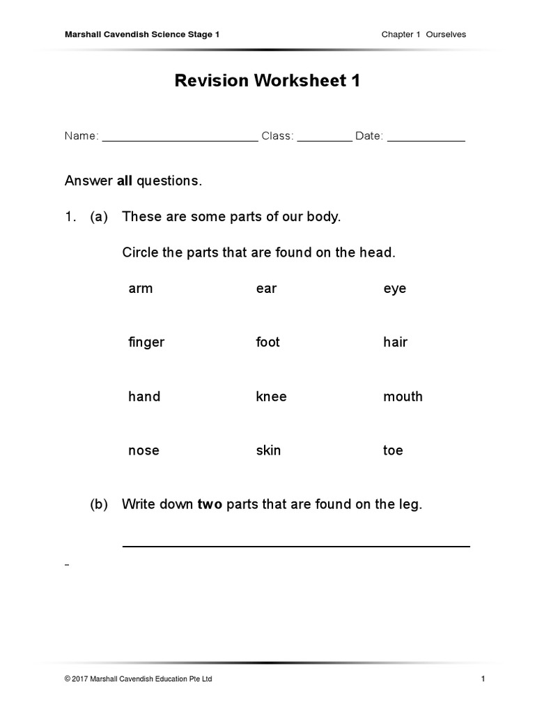 MC Science Revision WS Stage 1 C01 | PDF