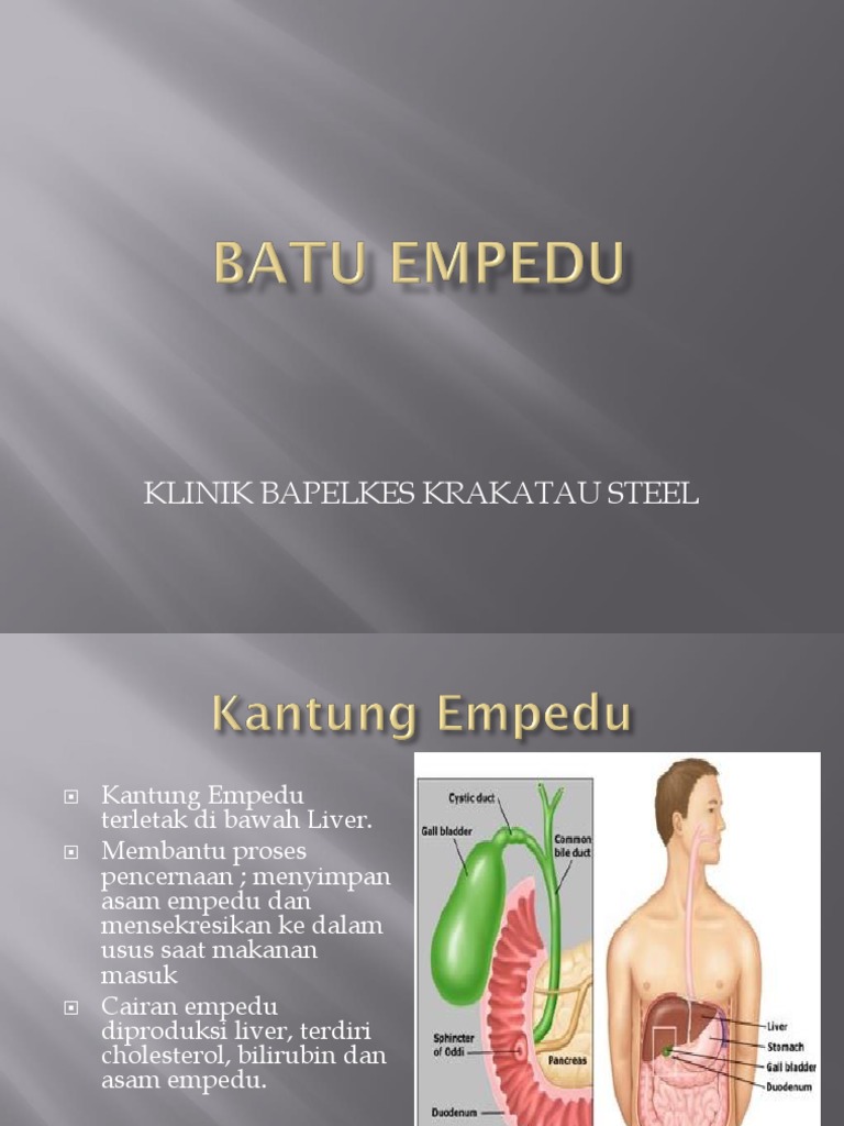 Batu Empedu | PDF