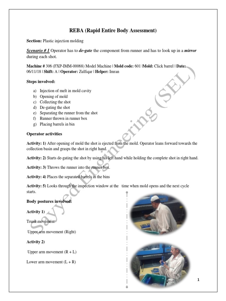 REBA Assessment for Molding Operations | PDF | Nature