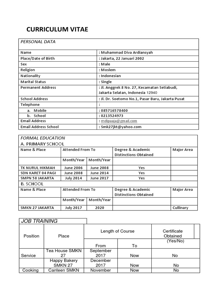 Curriculum Vitae: Personal Data | PDF