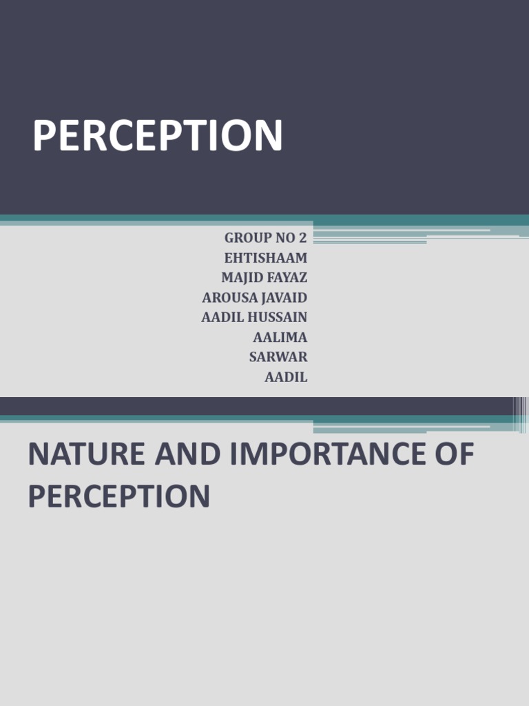 Perception: Group No 2 Ehtishaam Majid Fayaz Arousa Javaid Aadil ...