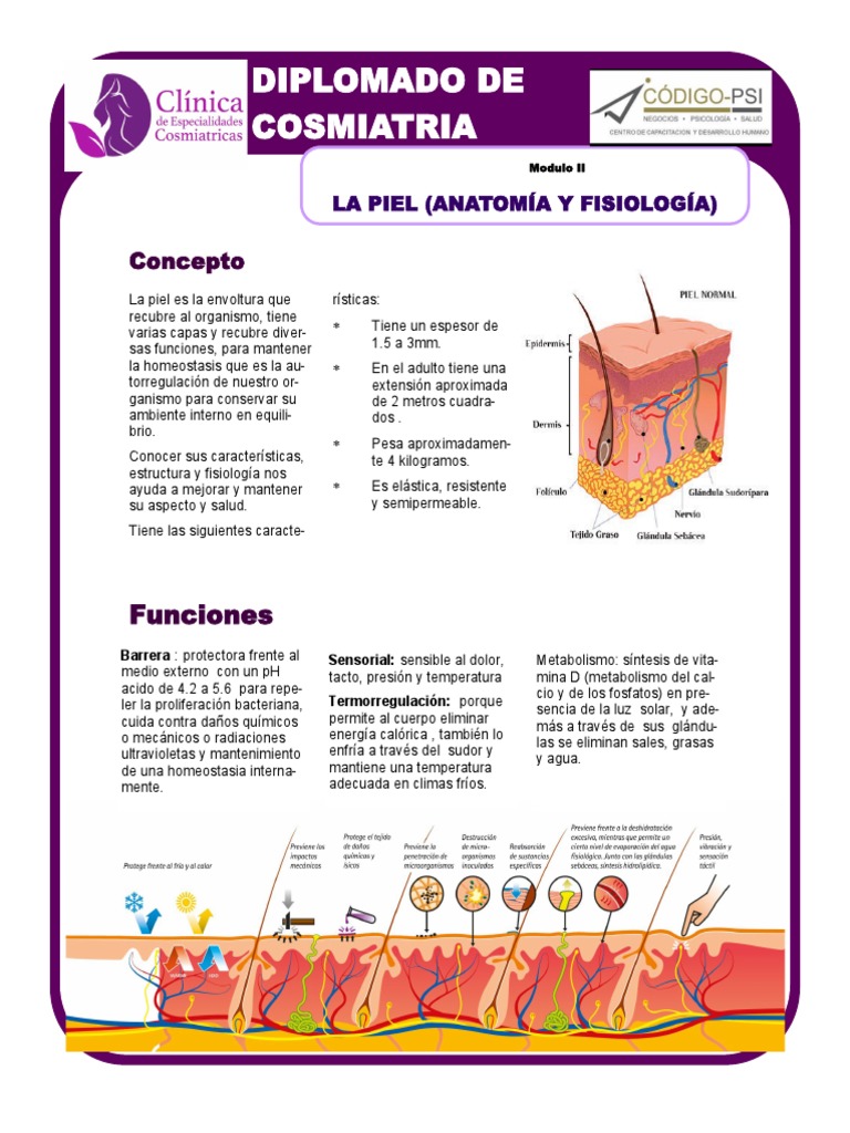 Anatomia y Fisiologia de La Piel | PDF | Piel | Epidermis