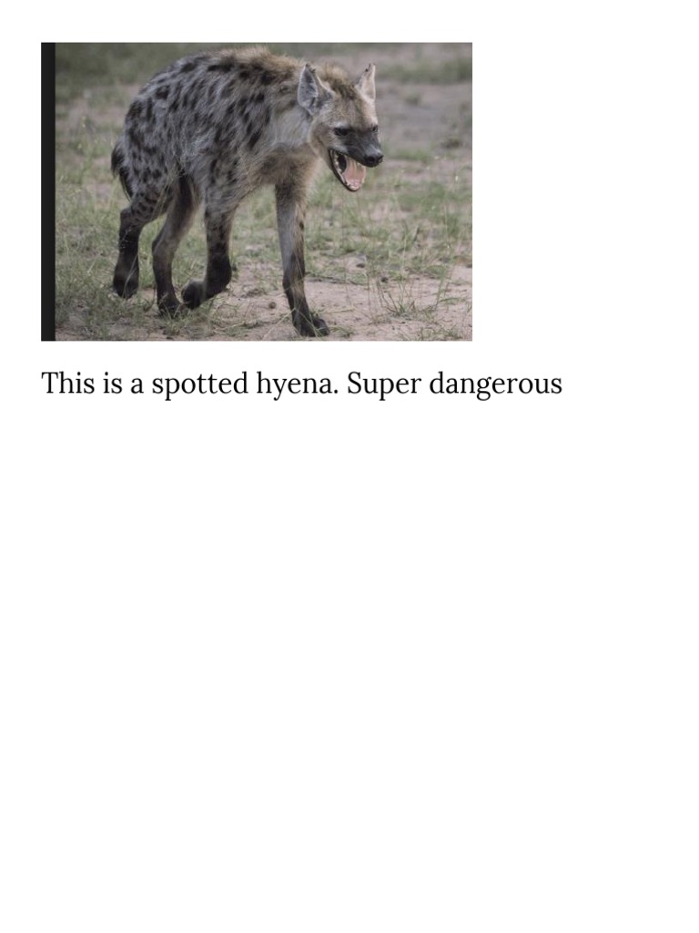Real vs. Movie Hyenas Explained | PDF