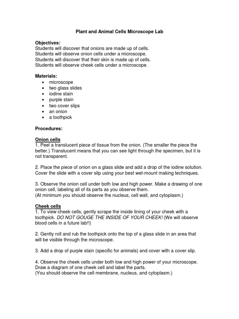 Microscope Lab: Onion & Cheek Cells | PDF