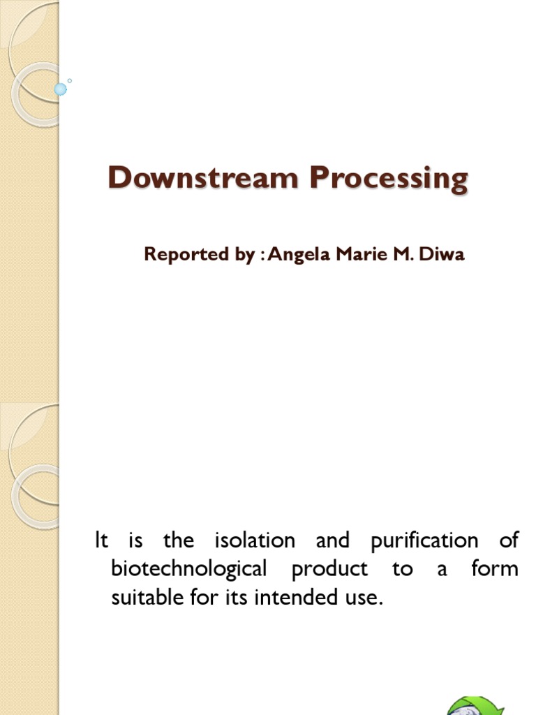 Downstream Processing | PDF | Protein Purification | Chromatography