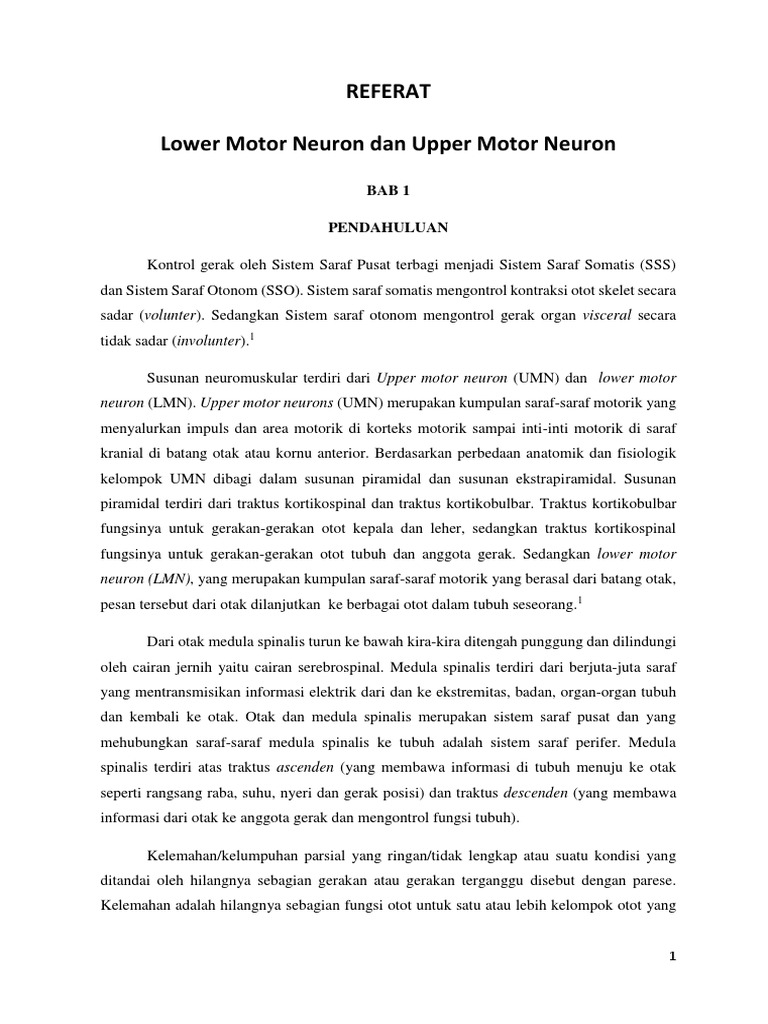 Referat UMN Dan LMN | PDF