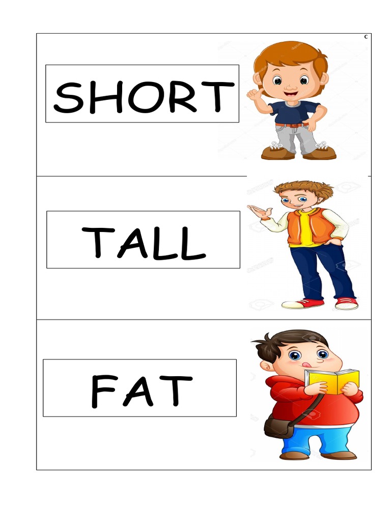Short Tall FAT | PDF