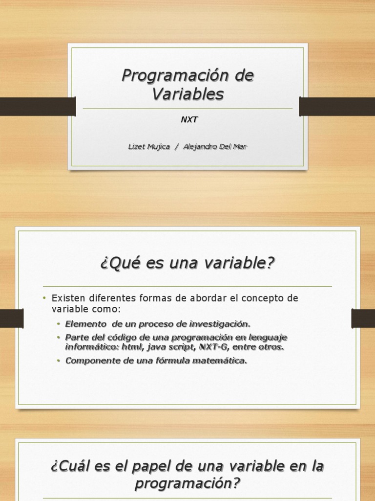 Programación de Variables | PDF | Variable (informática) | Lenguaje de ...