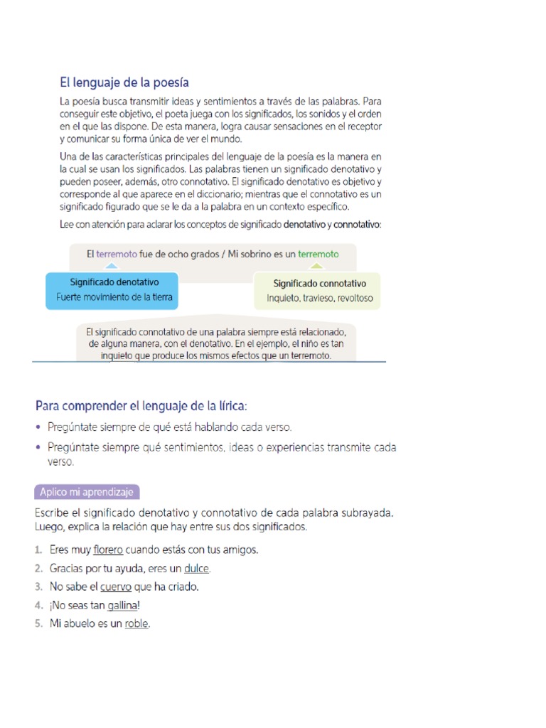 Lenguaje Poético | PDF