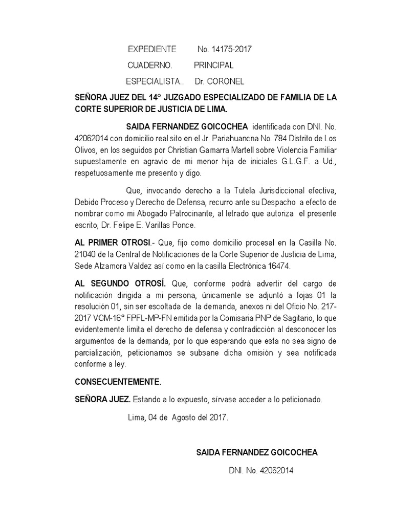 Apersonamiento Sra. Saida Fernandez | PDF | Demanda judicial | Virtud