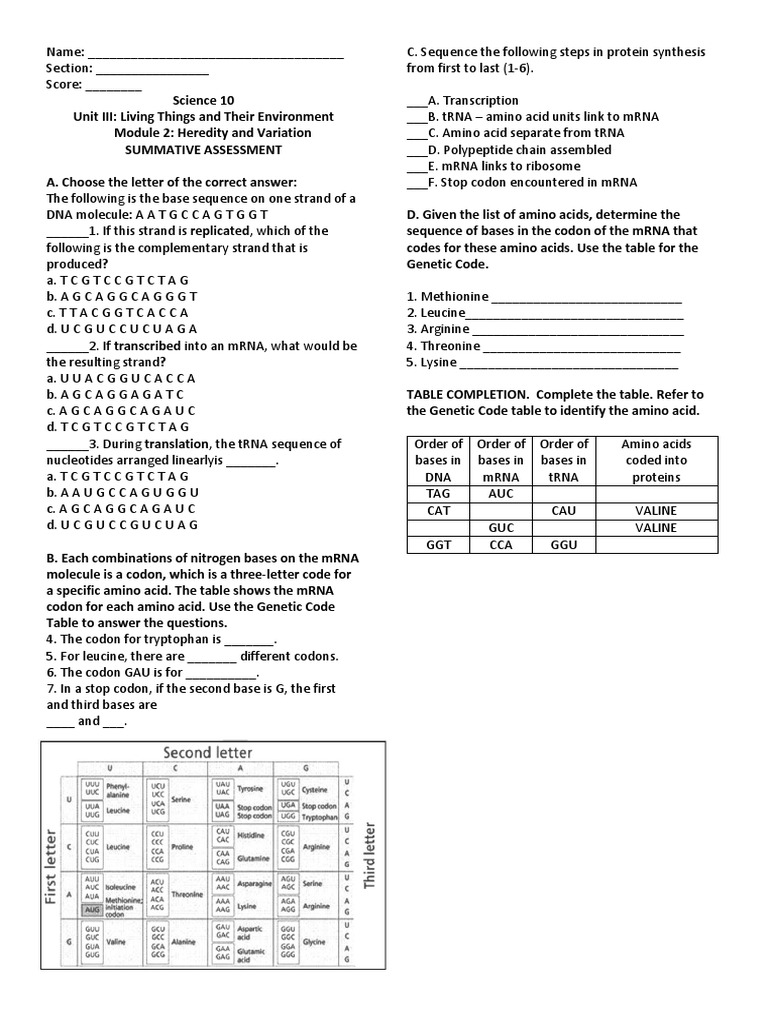 Grade 10 Summative | PDF | Genetic Code | Messenger Rna