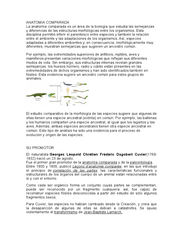 Anatomia Comparada | PDF | Homología (biología) | Especies