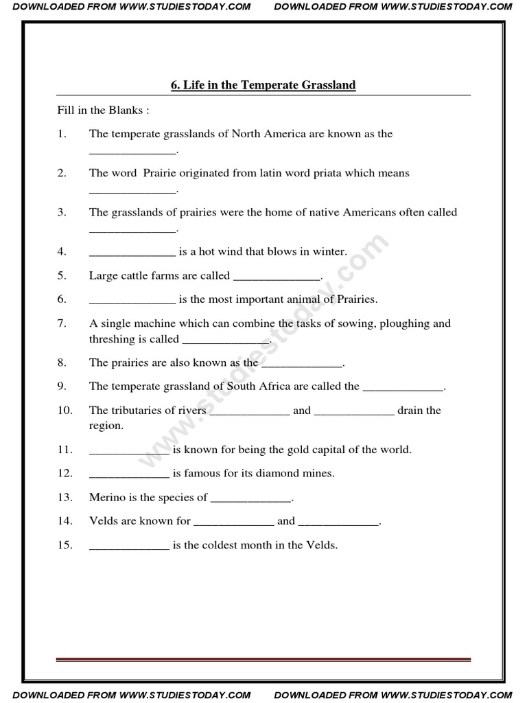 Life in Temperate Grasslands Quiz | PDF | Home & Garden