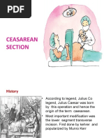 Obstetrical Shock Final | PDF | Shock (Circulatory) | Intravenous Therapy