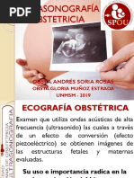 Formula Obstetrica | PDF