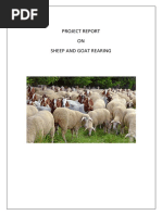 Goat Rearing Project Proposal | PDF | Goat | Agriculture