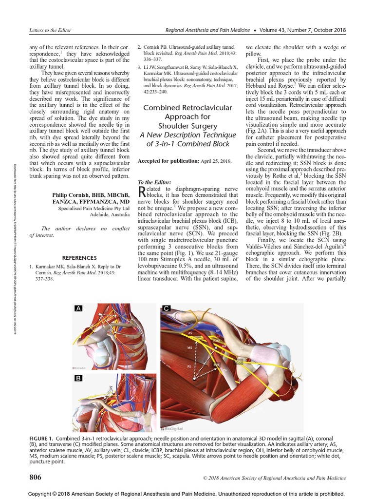 3in1 Shoulder Block | PDF | Shoulder | Medical Specialties