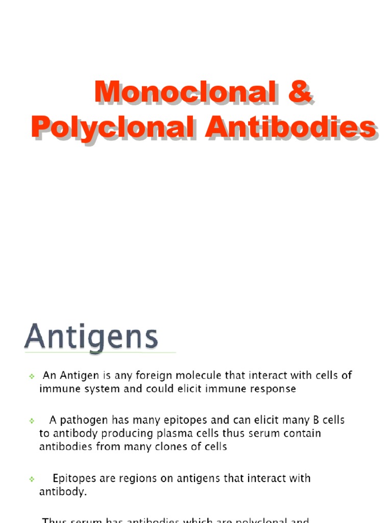 Monoclonal & Polyclonal Antibodies | PDF | Monoclonal Antibody ...