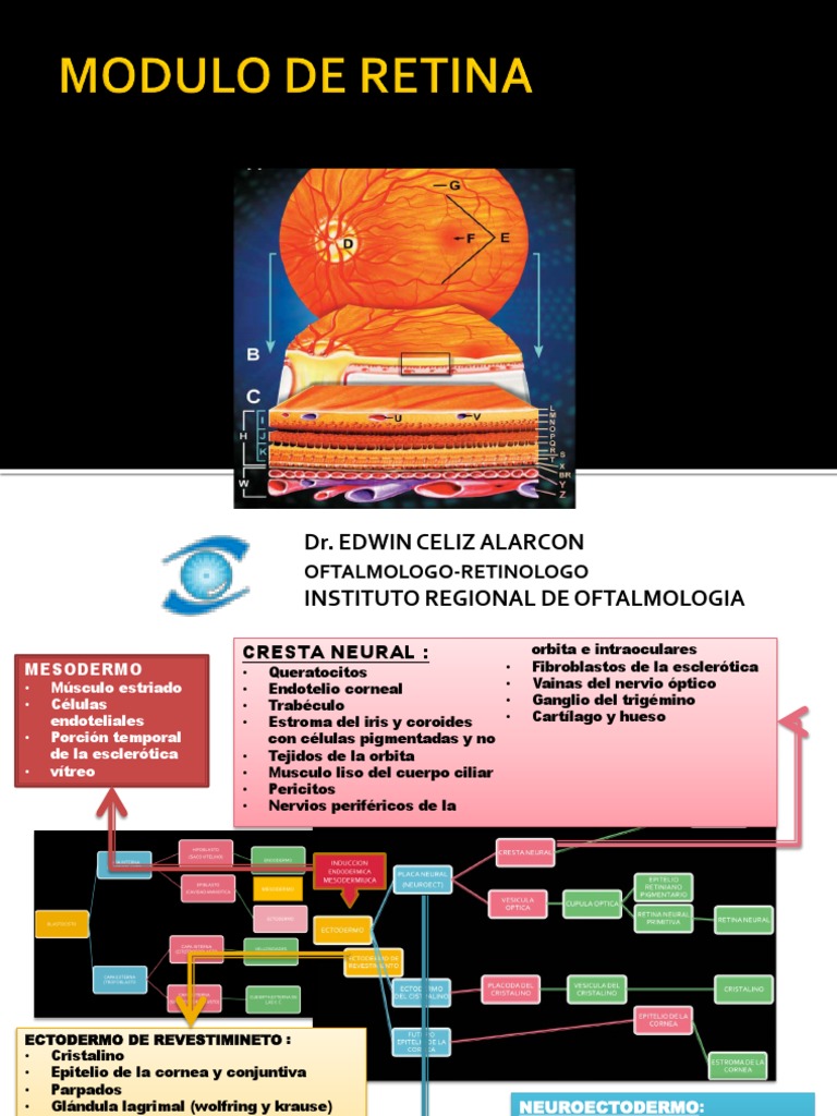 Ponencia 4.2 Emergencias de La Retina Dr. Edwin Celis PDF | PDF ...