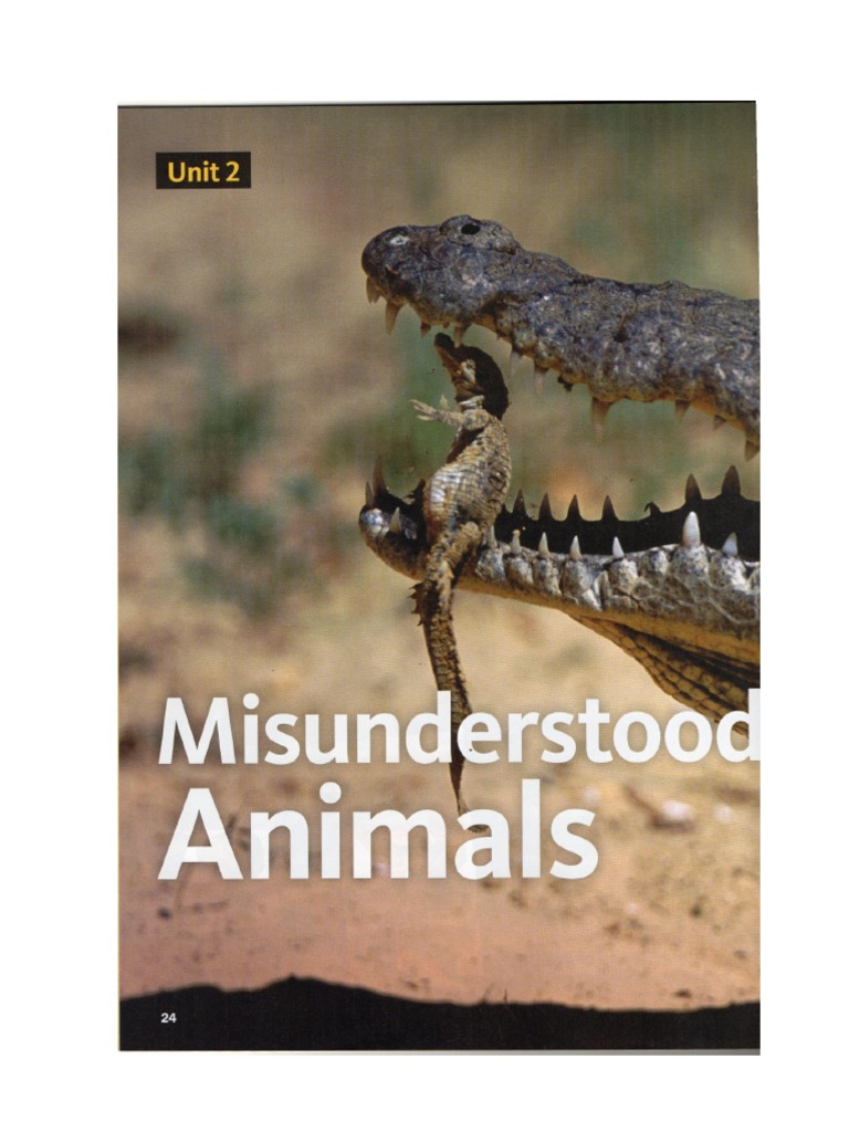 Impact 3 Unit 2 | PDF