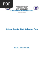 SDRRM Plan (Sample) - 1 | PDF | Emergency Management | Disaster Risk ...