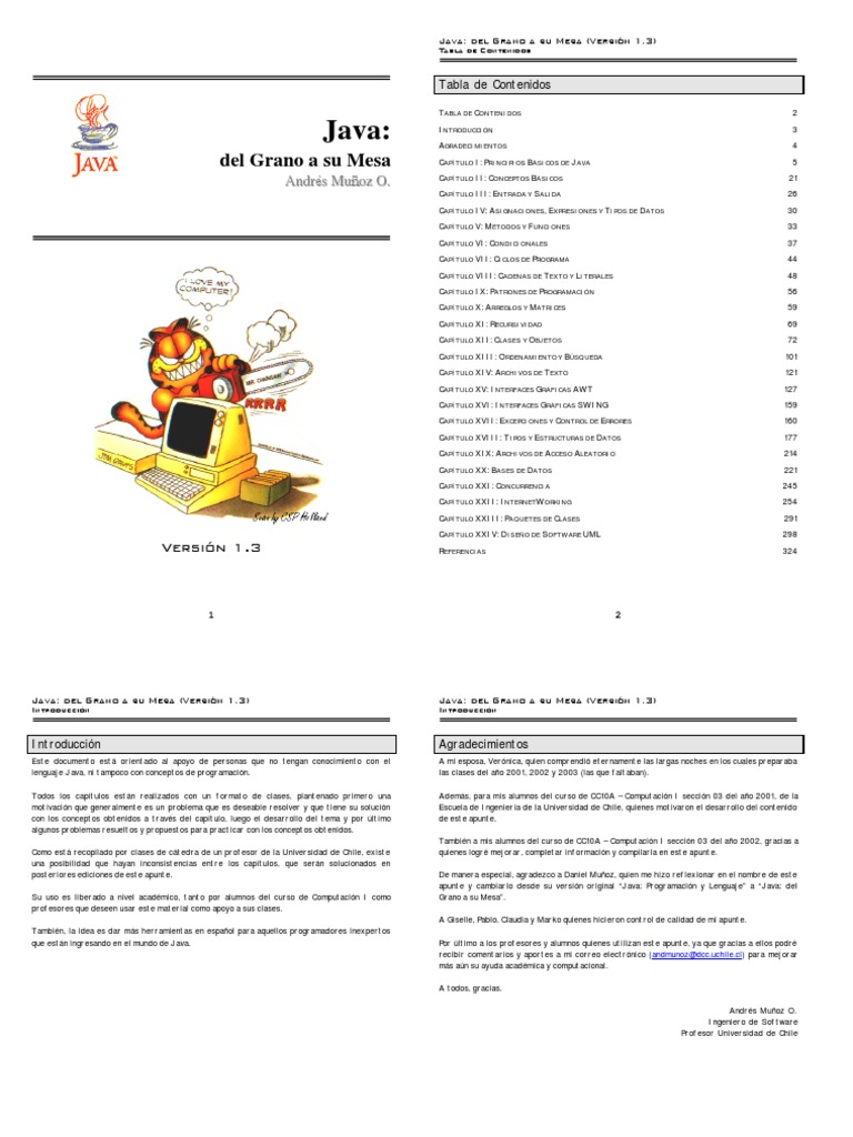 Manual Java | PDF | Java (lenguaje de programación) | Programa de ...