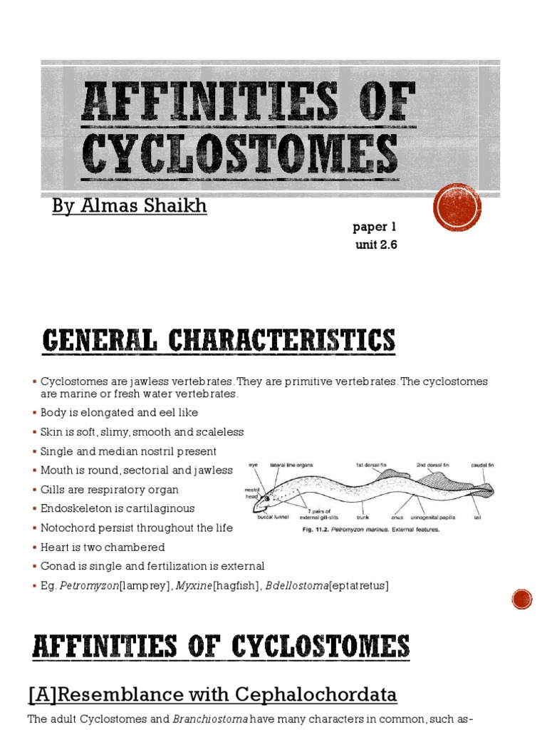Characteristics of Cyclostomata | PDF | Vertebrates | Organ (Anatomy)