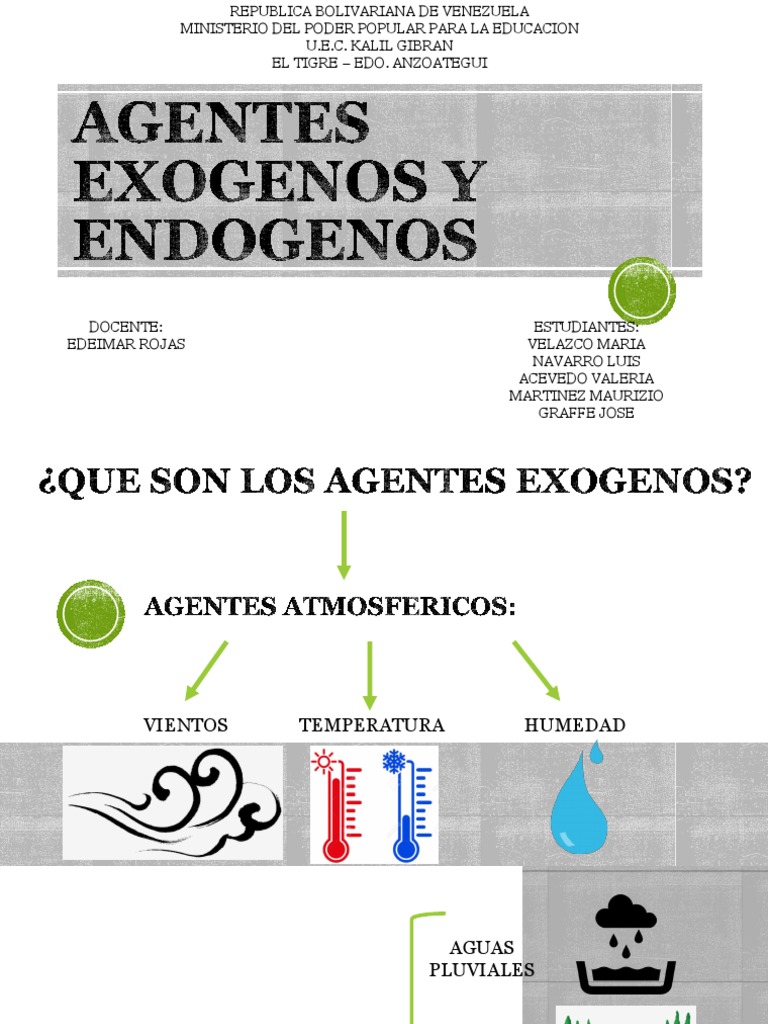Agentes Exogenos y Endogenos | Naturaleza
