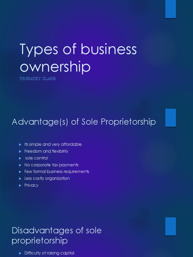 Types of Business | PDF