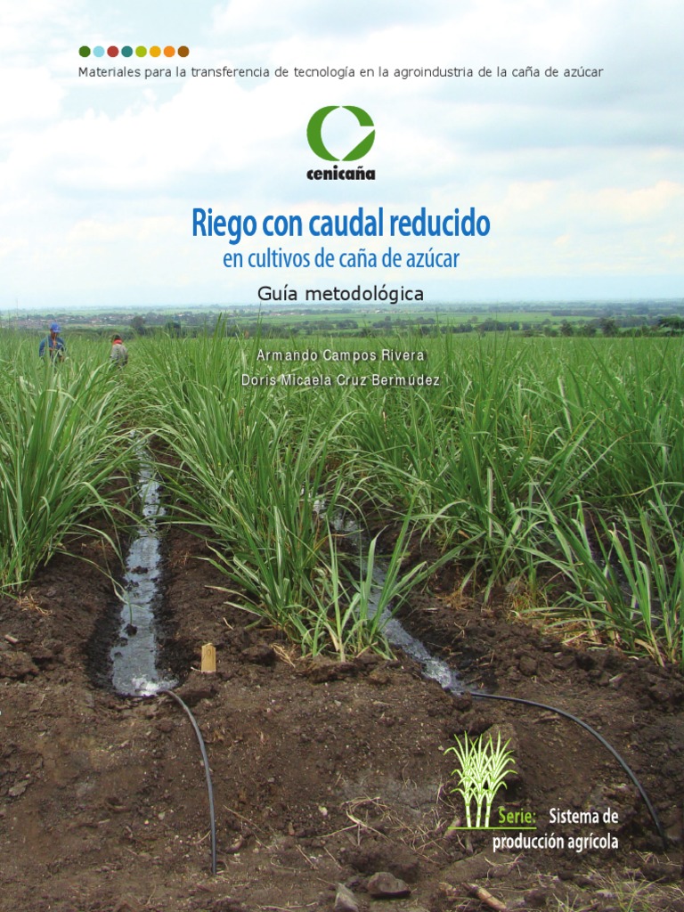 Riego Con Caudal Reducido PDF | PDF | Riego | Agronomía