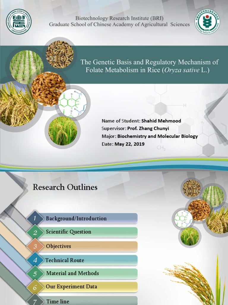 Name of Student: Shahid Mehmood Supervisor: Prof. Zhang Chunyi Major ...