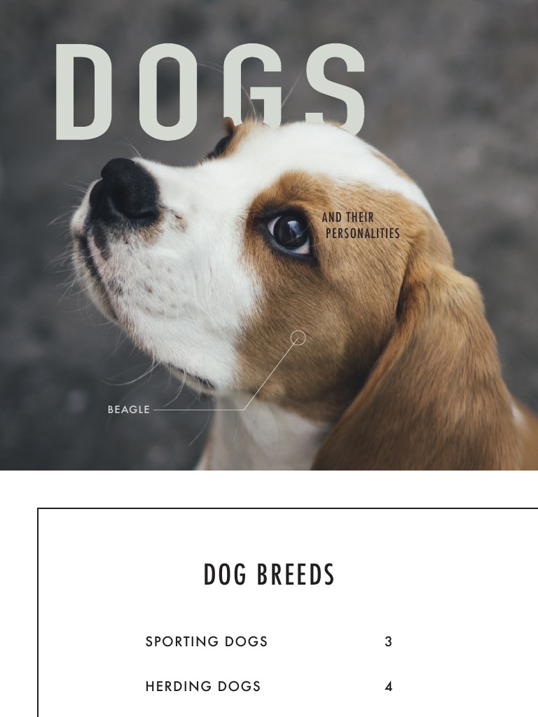 Indesign Lab3 Emma Walsh | PDF | Herding Dogs | Terriers