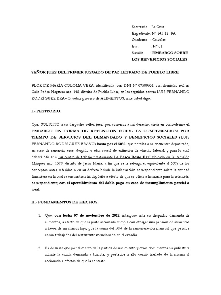 Embargo en Forma de Retencion Sobre La Cts Del Demandado Alimentos ...