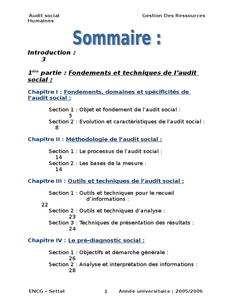 Audit Social | PDF | Audit | Risque