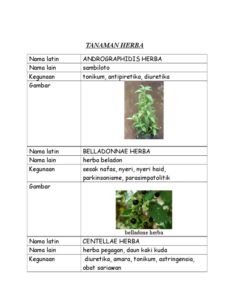 Nabilla X Farm | PDF