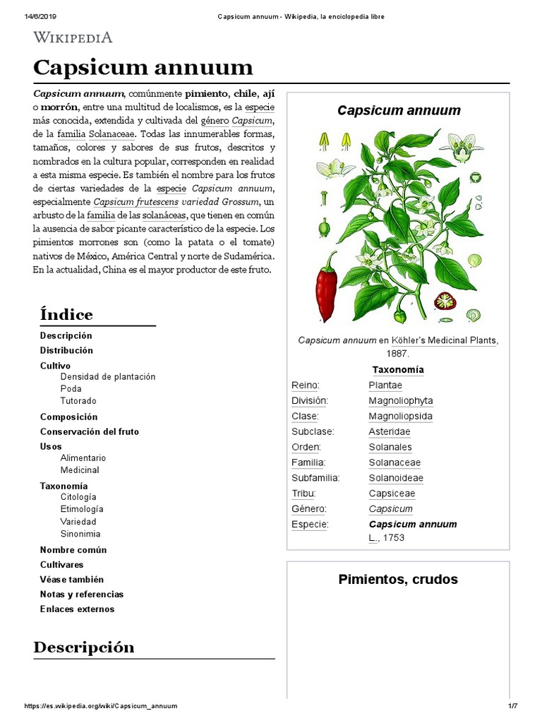 Capsicum Annuum - Wikipedia, La Enciclopedia Libre | PDF | Pimiento ...