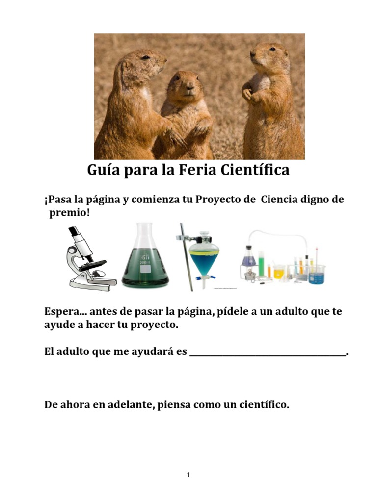 Science Fair Packet - Spanish PDF | PDF | Hipótesis | Science