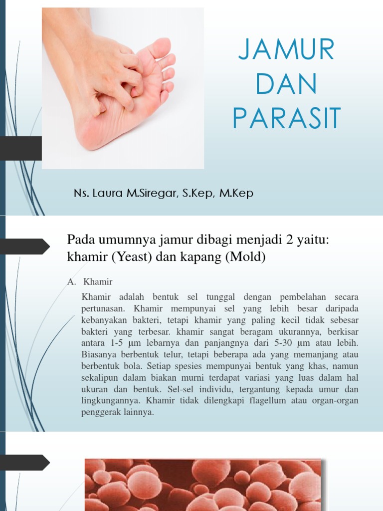 Jamur dan Parasit: Jenis dan Infeksi | PDF