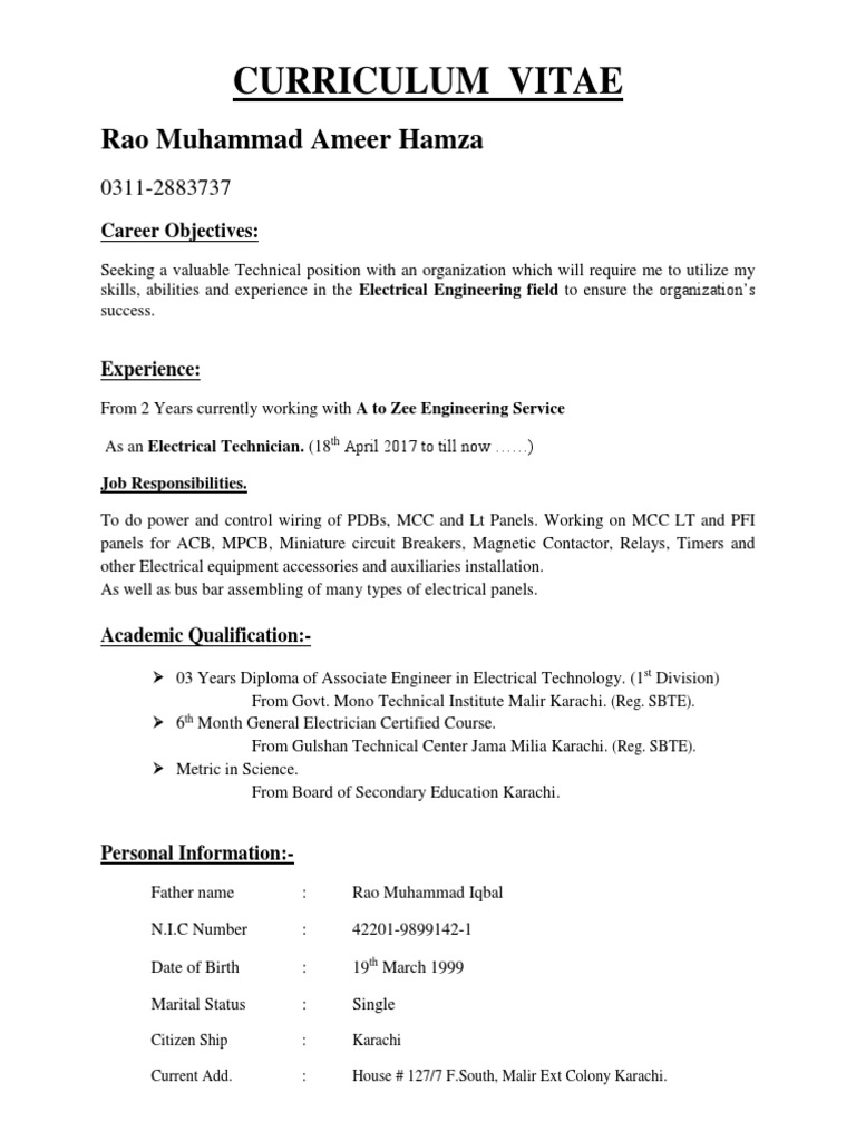 Curriculum Vitae: Rao Muhammad Ameer Hamza | PDF
