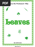 Leaf and Leaflet Morphology Guide | PDF | Leaf | Branches Of Botany