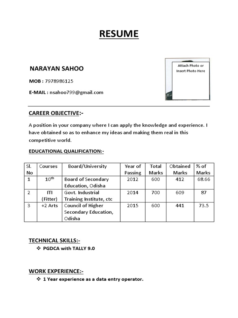 Narayan Resume | PDF