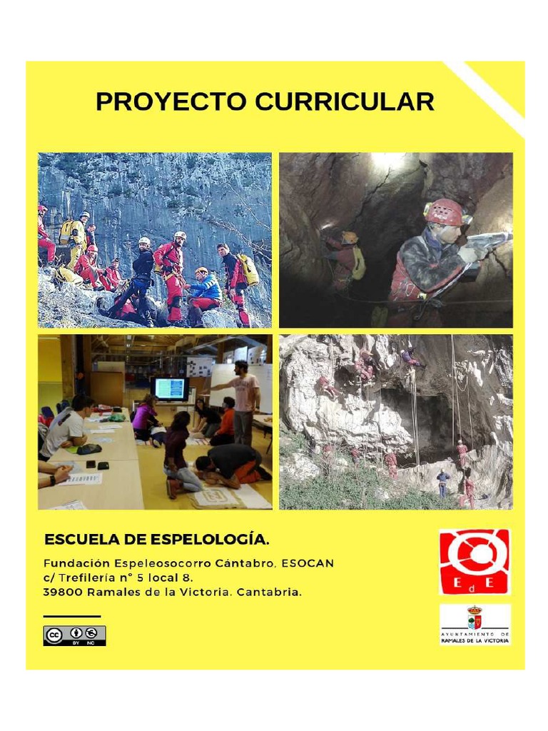 5 Proyecto Curricular | PDF | Plan de estudios | Turismo