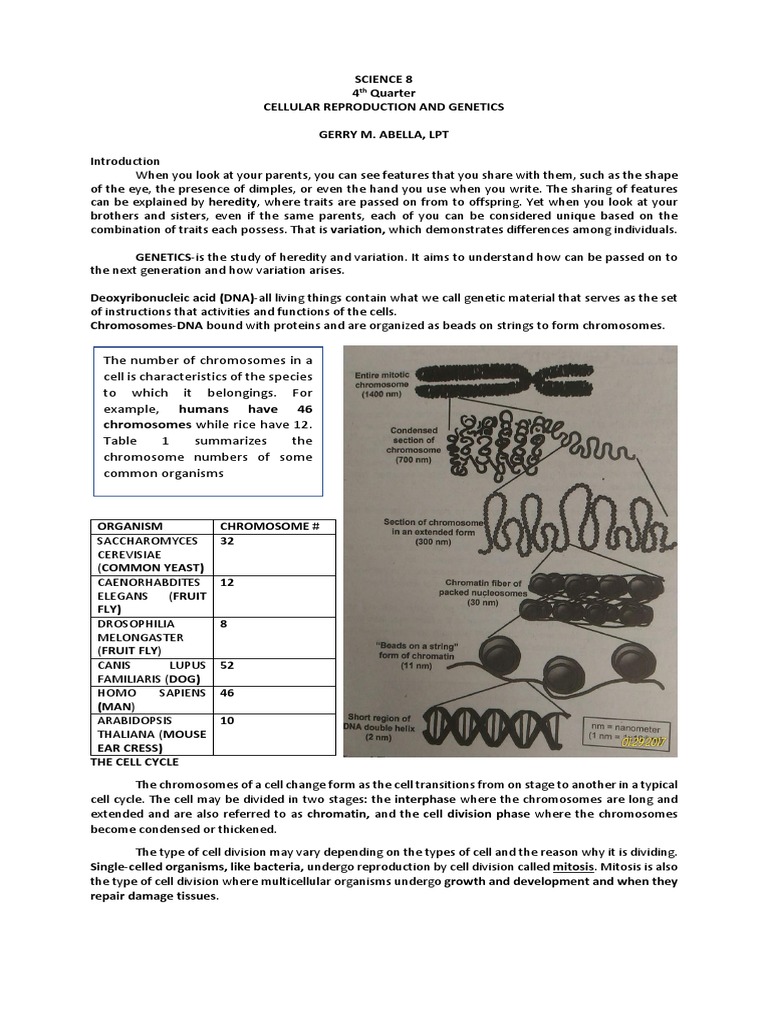 Cell Division Lesson | PDF | Meiosis | Mitosis